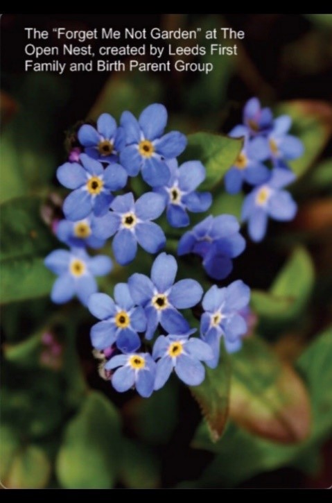 PAC-UK | BP-flower-arrangements-2